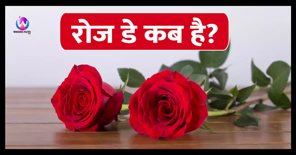 रोज डे कब है और क्यों मनाया जाता है? | Rose Day Kab Hai 2024 | Wonder ...